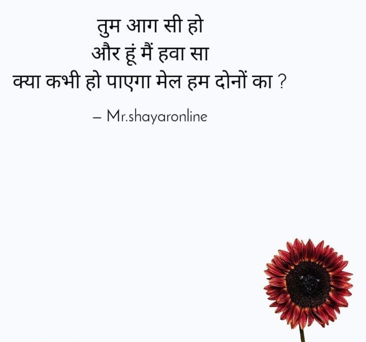 Gallery – Mr Shayar Online