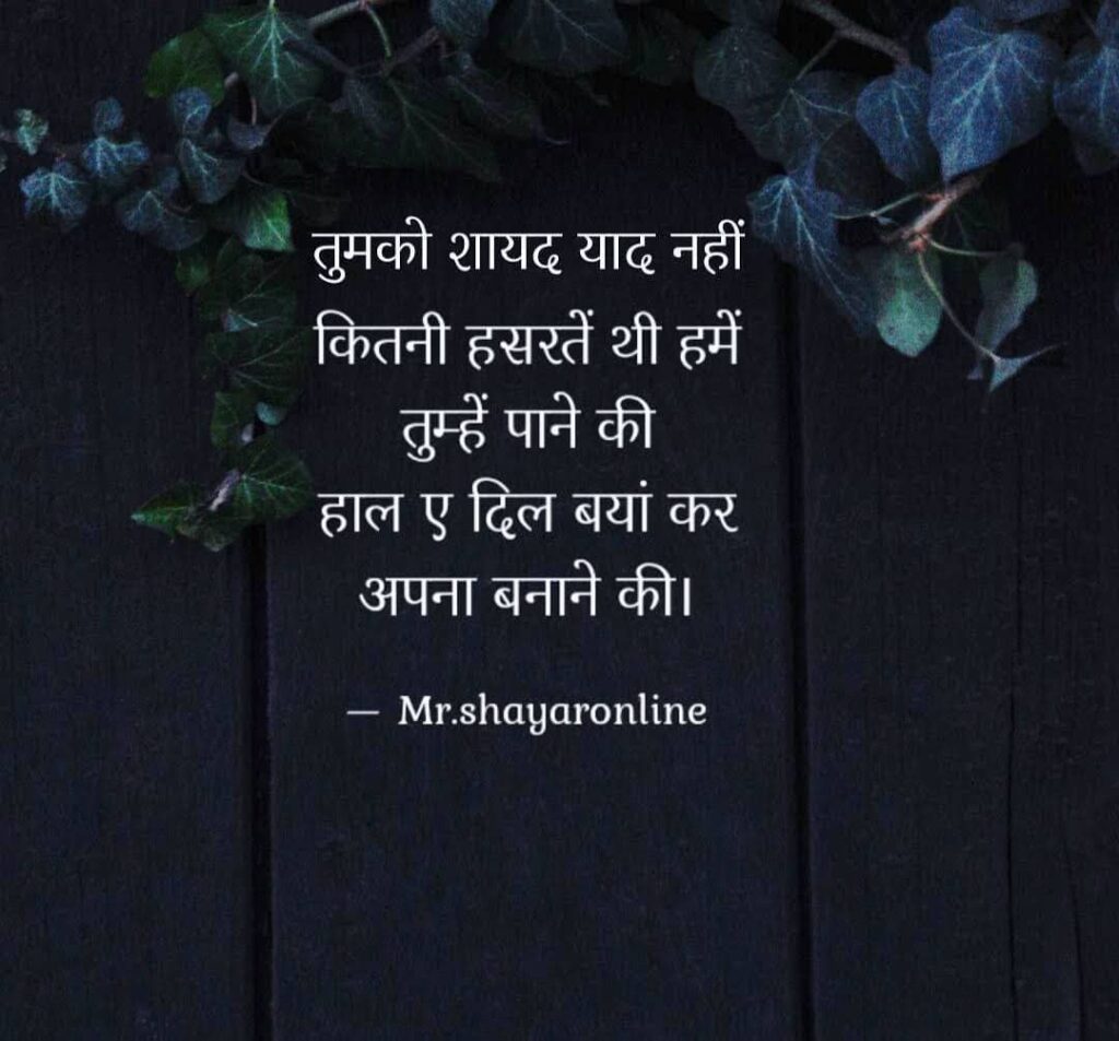Gallery – Mr Shayar Online