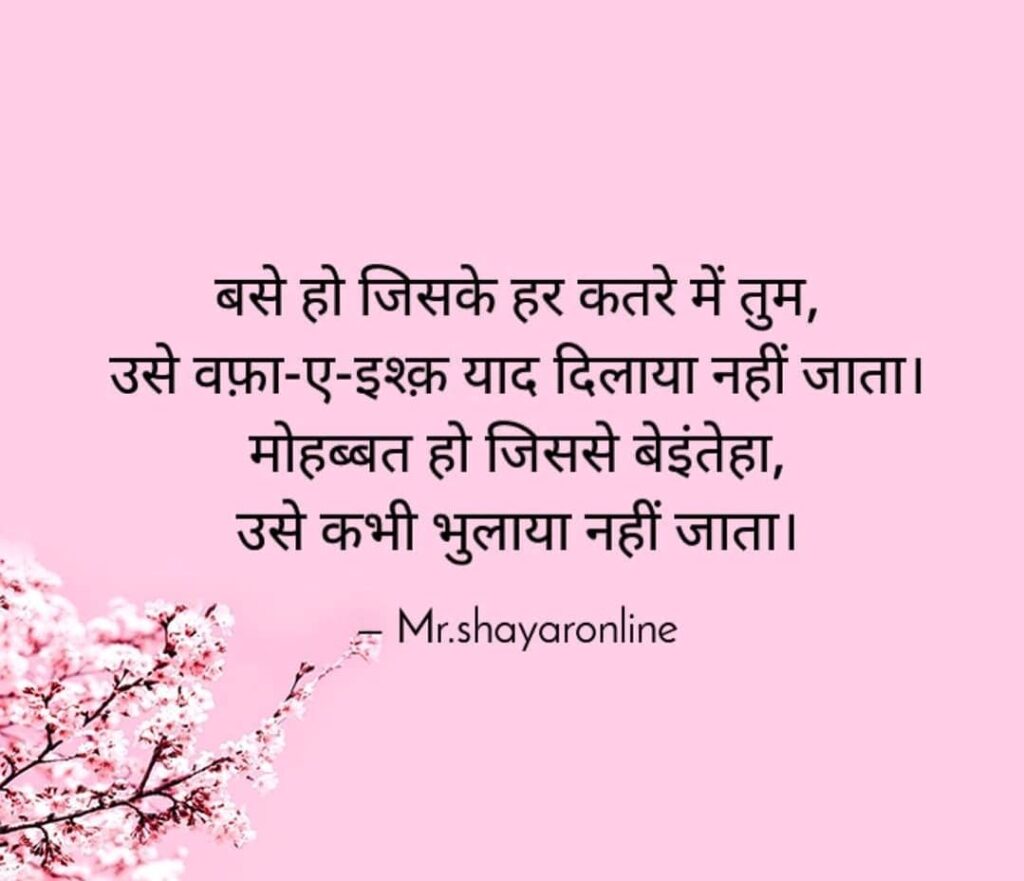 Gallery – Mr Shayar Online